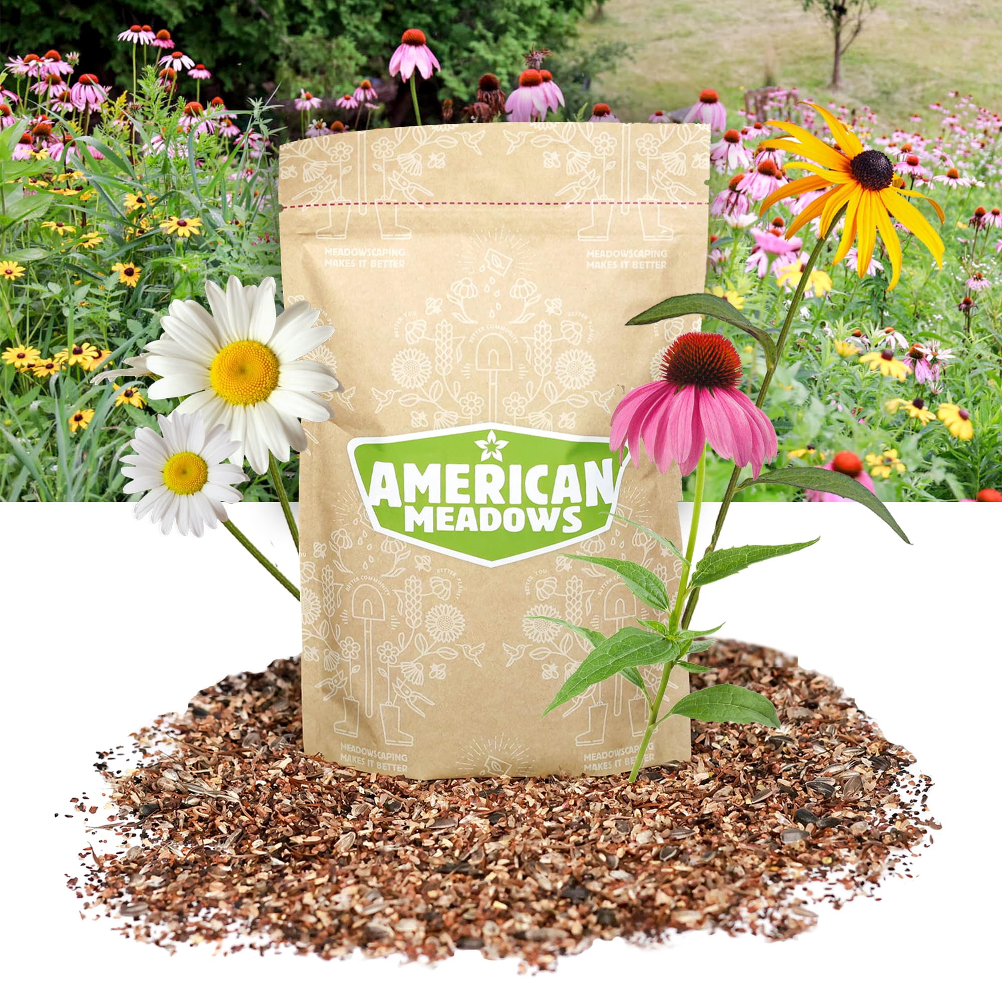 American Meadows Perennial Beauty Wildflower Seed Mix (1 lb) - Low ...