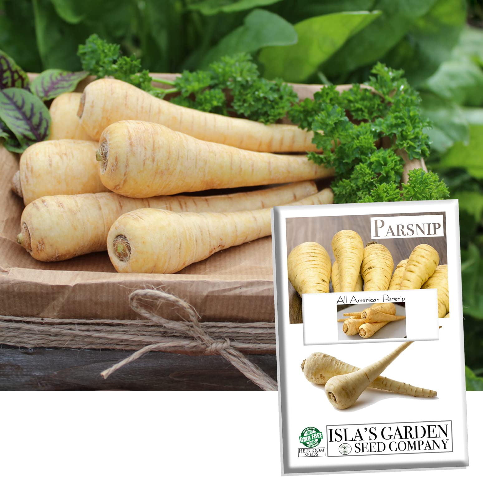 All American Parsnip TWE5 Seeds, 300+ Heirloom Seeds Per Packet, (Isla ...