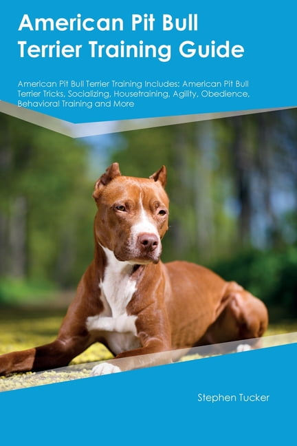 American Pit Bull Terrier Training Guide American Pit Bull Terrier ...