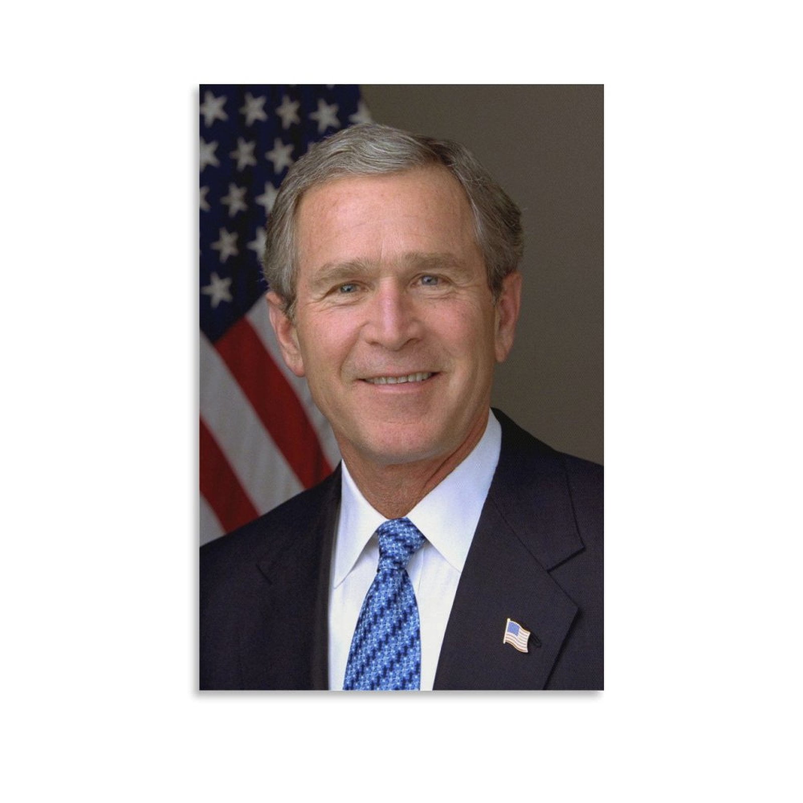 American Politician George W. Bush Poster Poster Cool Artworks Painting ...