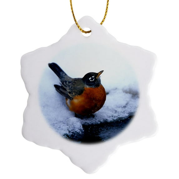 3drose, American Robin at Bird Bath, Water in Winter, 3 inch Snowflake ...
