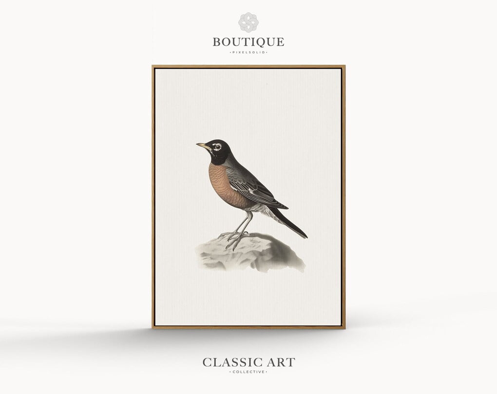 American Robin Drawing, Neutral Bird Illustration Print, Farmhouse Wall ...