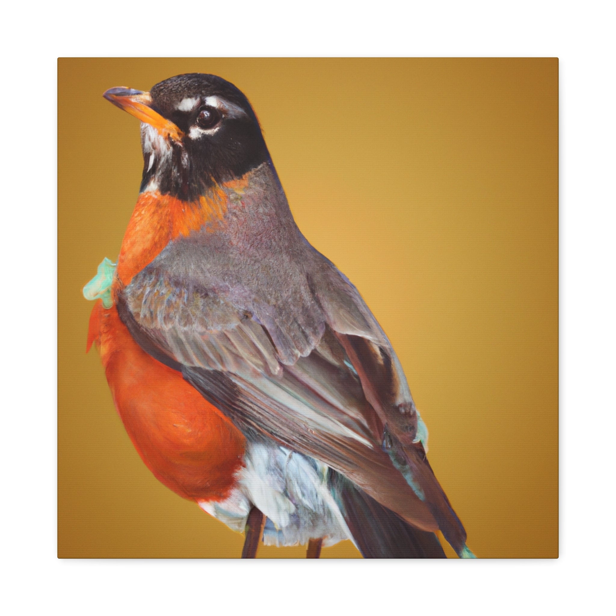 "American Robin Standing Proud" - Canvas - Walmart.com