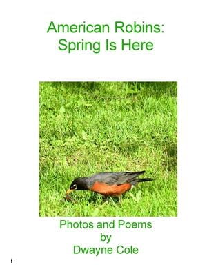 American Robins - Walmart.com