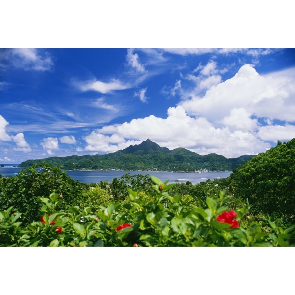 American Samoa Pago Pago Harbor Greenery And Flowers Clouds In Sky ...