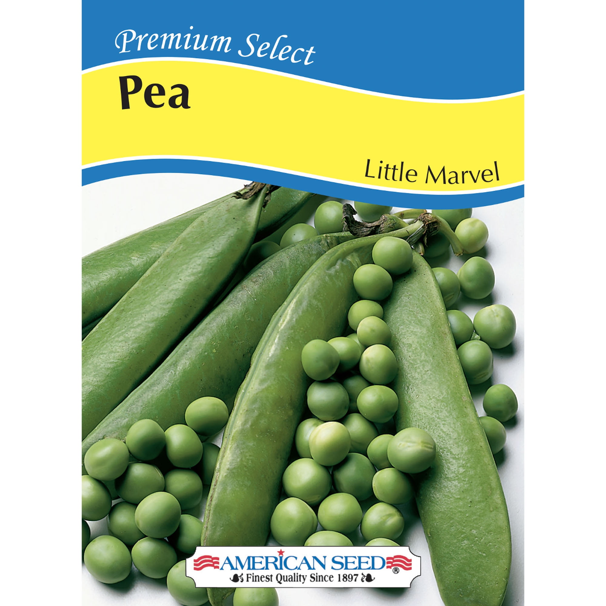 American Seed Pea Little Marvel Dwarf Annual Vegetable Seeds Full Sun ...