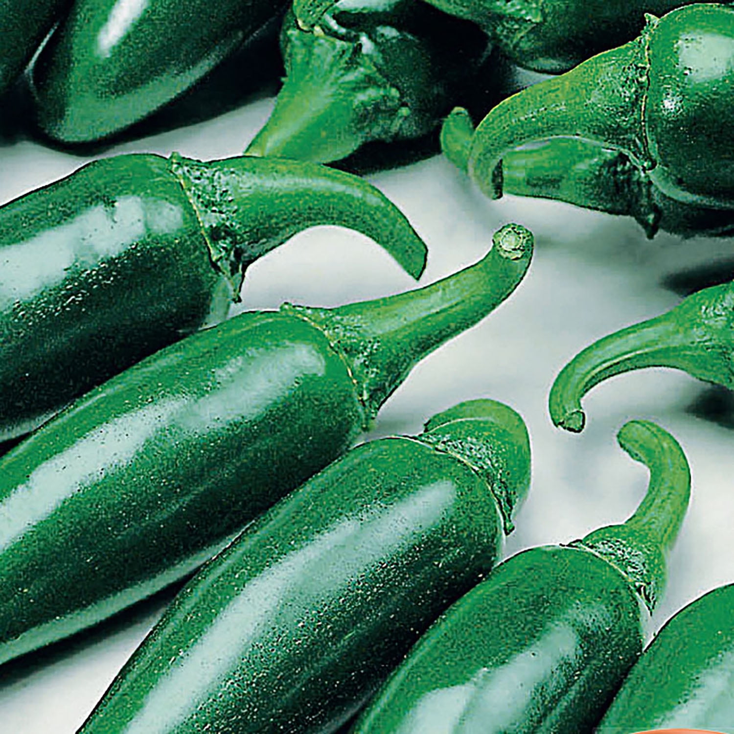 American Seed 1G Pepper Jalapeno Early Plant Seeds Full Sun - Walmart.com