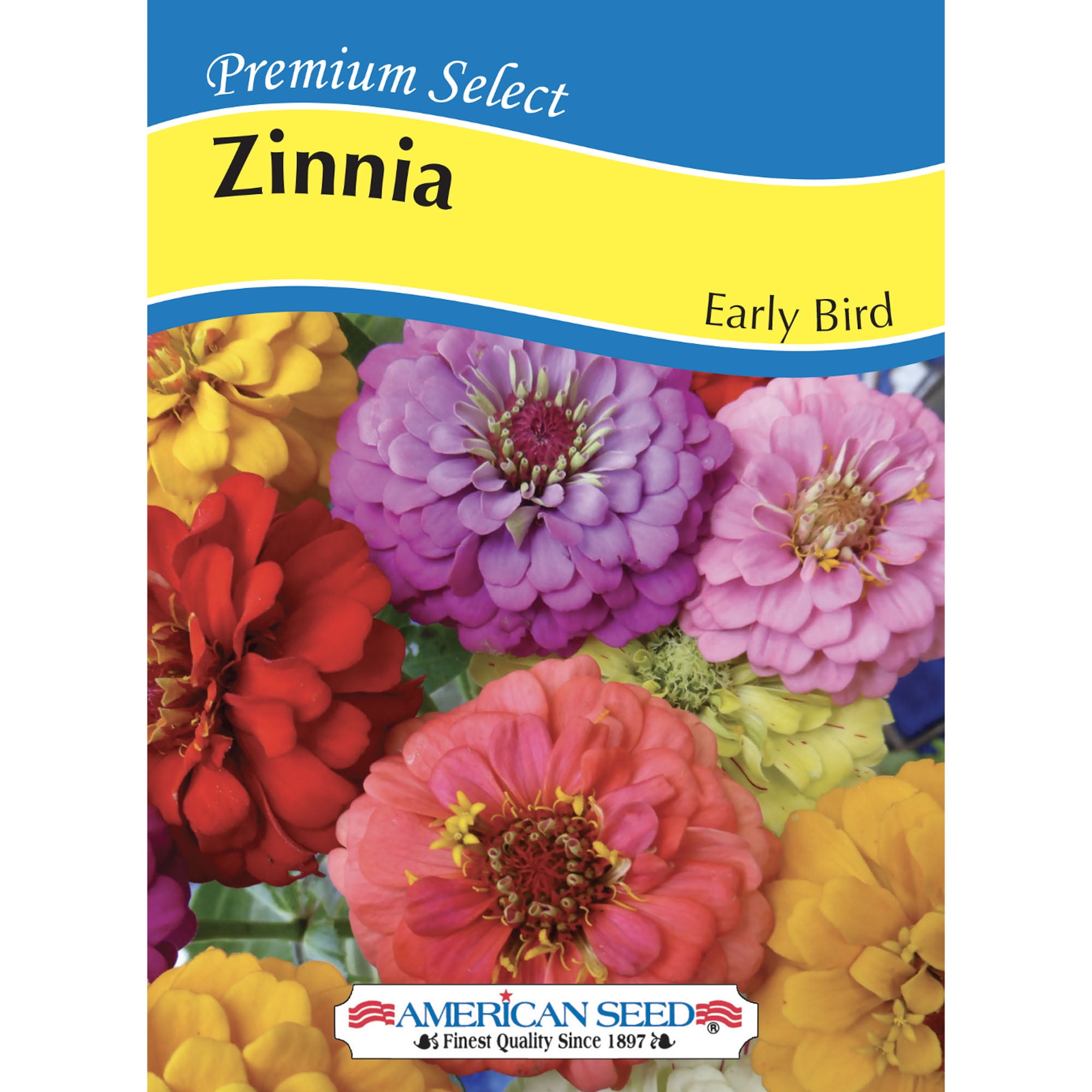 American Seed Zinnia Early Bird Annual Flower Seeds Full Sun - Walmart.com