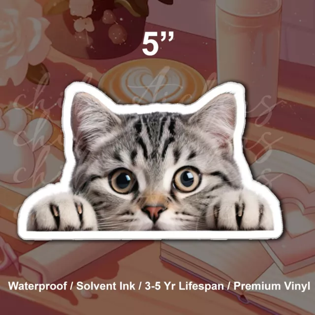 American Short Hair Persian Cat Kitty Peeking Sticker Vinyl Waterproof ...