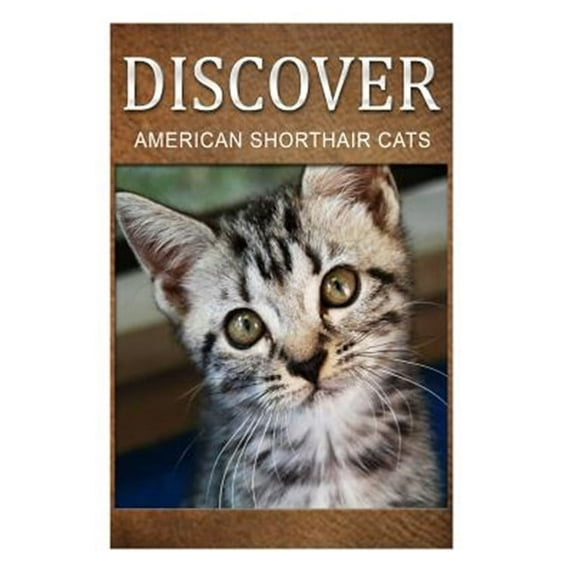 American Shorthair Cats - Discover: Early reader's wildlife photography ...