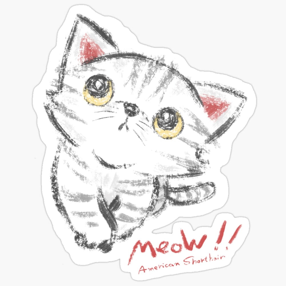 American Shorthair Kitten Looking Up Sticker Phone Decal Water Bottle ...