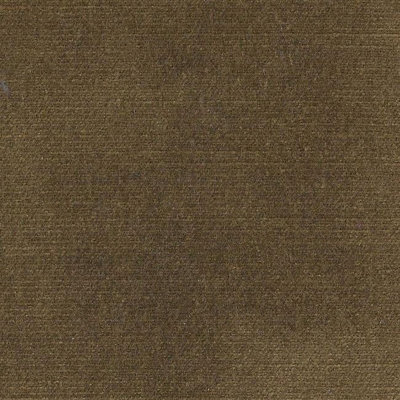 American Silk 9816 55 in. Brussels Beautifuly Curated Velvet Fabric ...