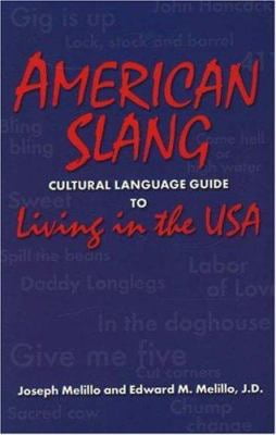 Pre-Owned American Slang: Cultural Language Guide to Living in the USA ...