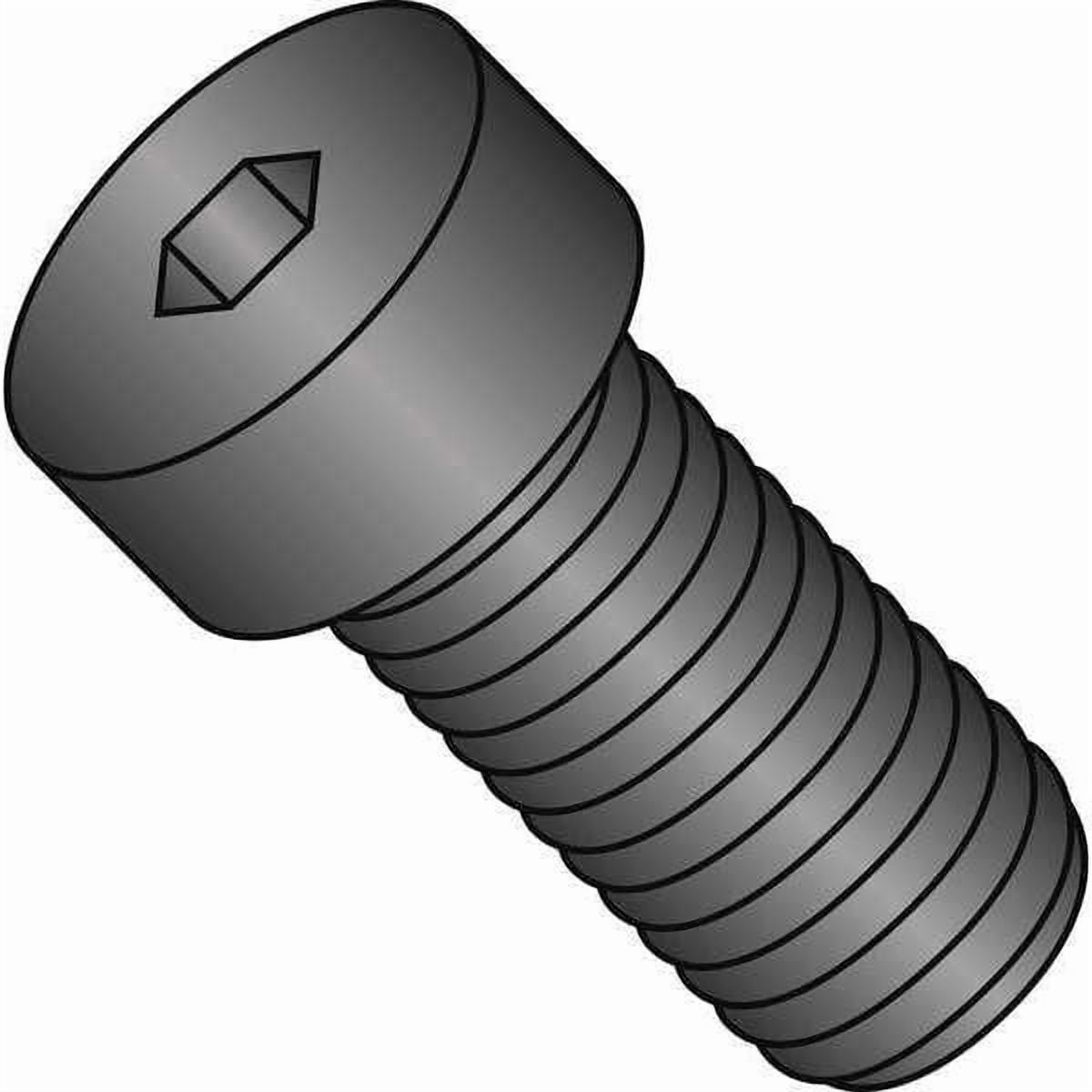 American Sockets Low Head Cap Blk Ox,10-24X1/2,PK100 1008CSL - Walmart.com