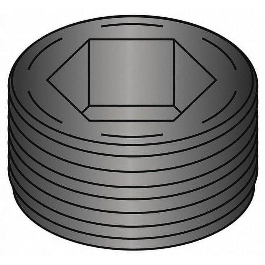 American Sockets Socket Pipe Plug Flush 7/Pl 1/16,PK100 00062PPSF ...