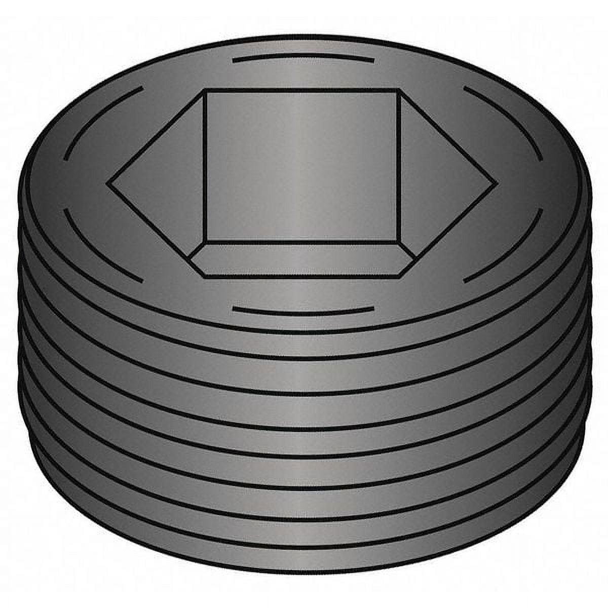 American Sockets Socket Pipe Plug Flush 7/Pl 1/16,PK100 00062PPSF ...
