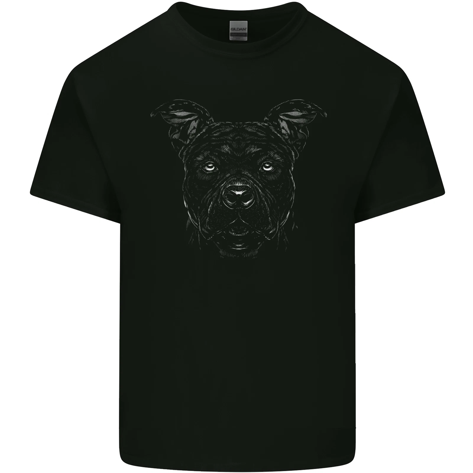 American Staffordshire Terrier Dog with a Cute Portrait for a Pet ...