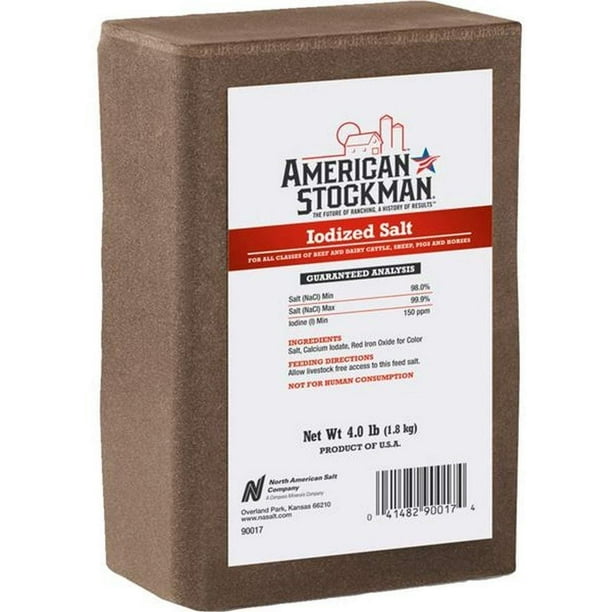 American Stockman Iodized Salt Block Pack of 15 - Walmart Business Supplies