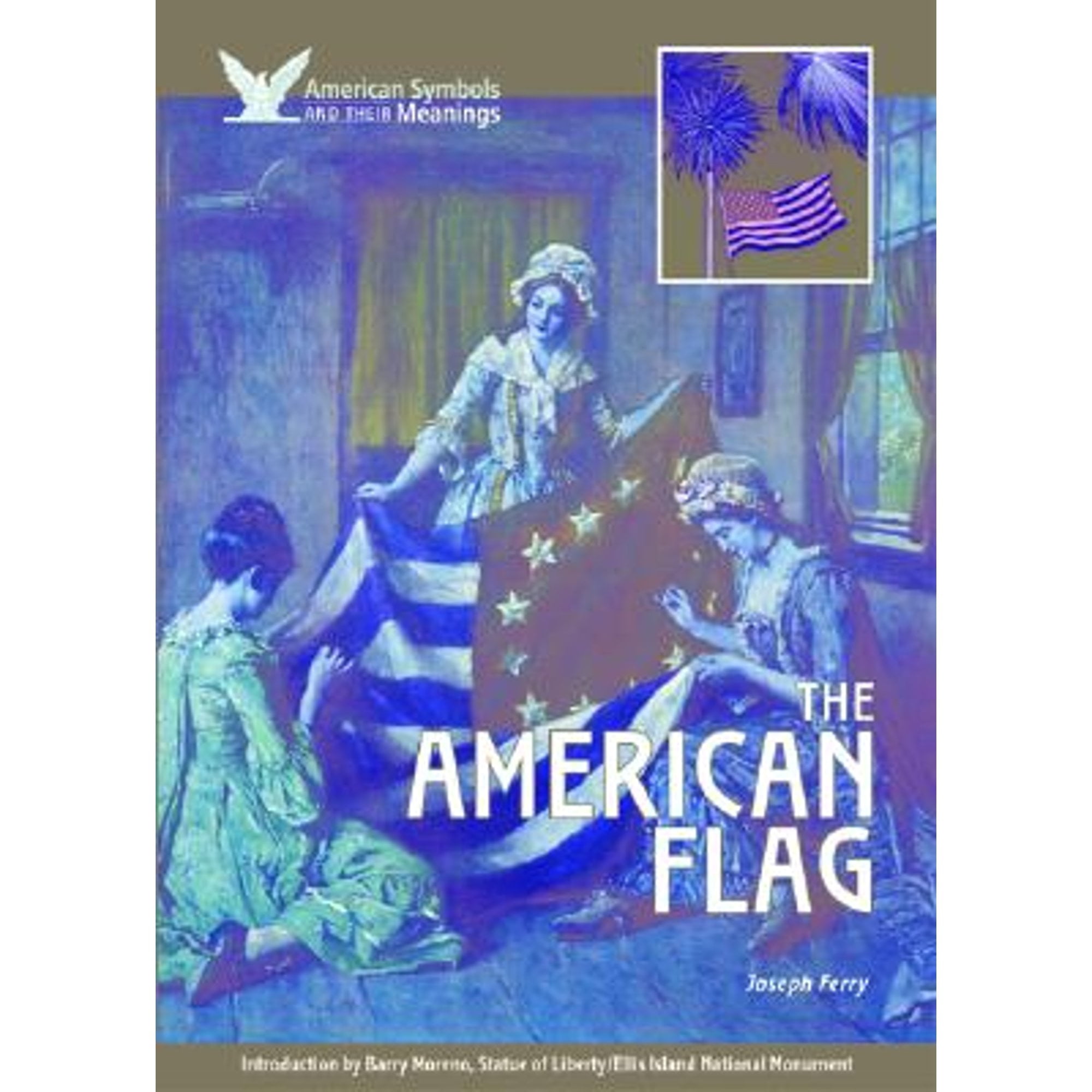 American Symbols & Their Meanings: The American Flag (Hardcover ...