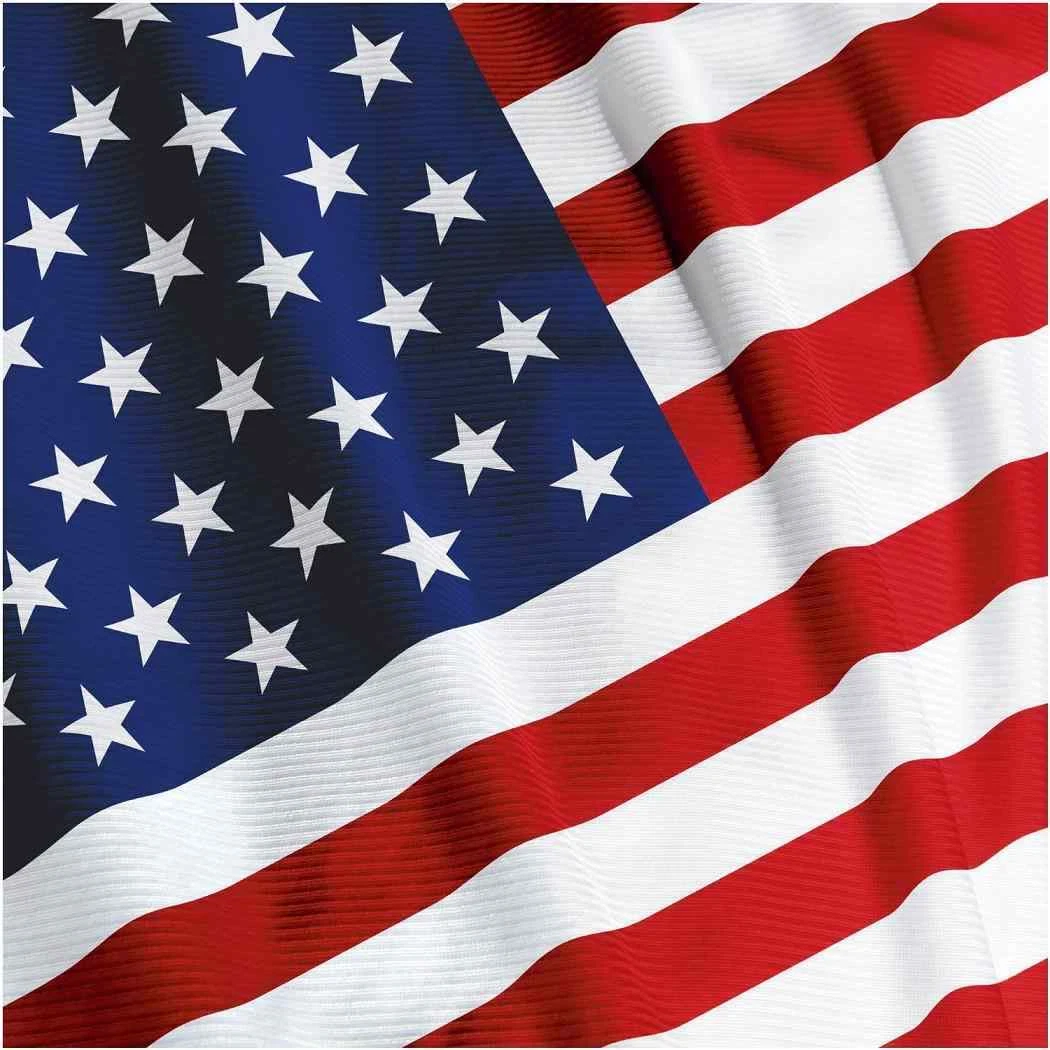 American Valor Usa Patriotic July 4Th Election Theme Party Luncheon ...