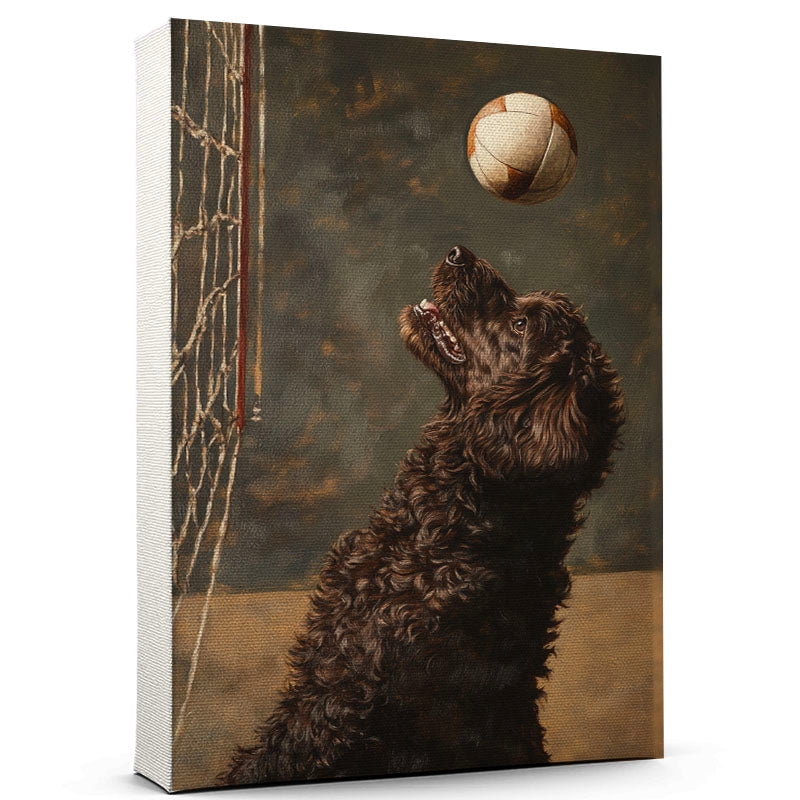American Water Spaniel Dog Playing Volleyball Stretched Canvas Size ...