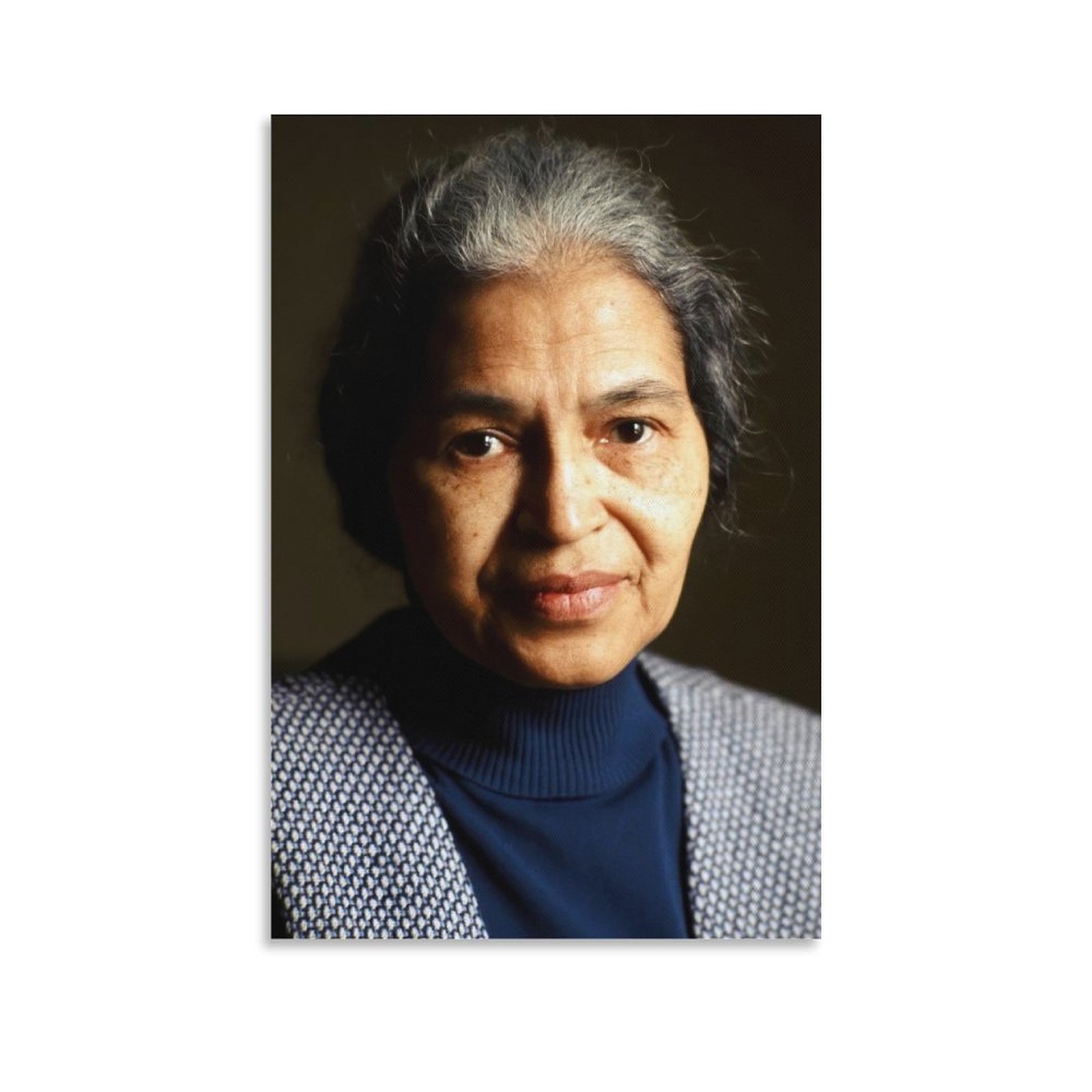 American Women Activists Rosa Parks Retro Poster Print Photo Art ...