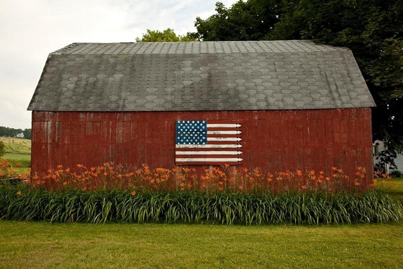 American flag painted on rustic red barn photo Patriotic poster ...