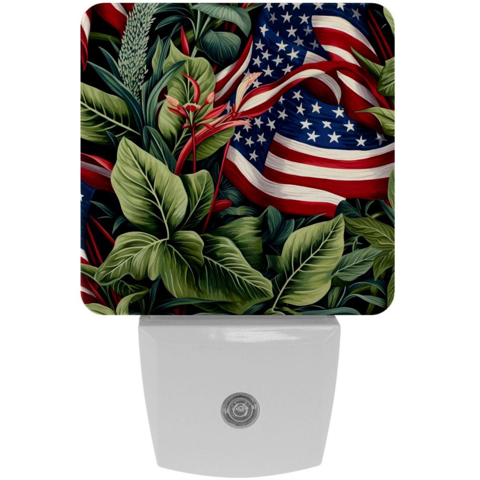 American flag plant LED Square Night Light - Compact and Energy ...