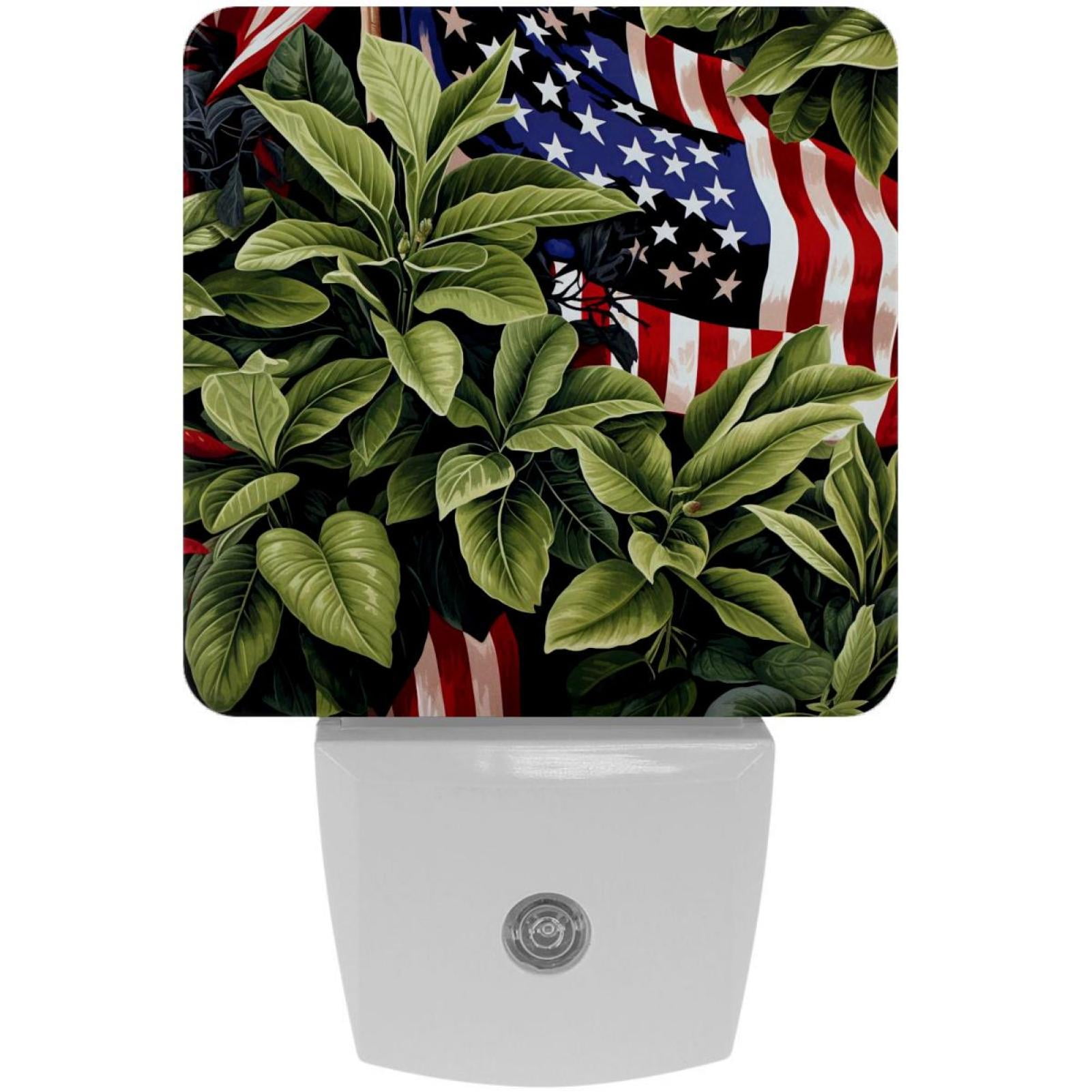 American flag plant LED Square Night Lights - Modern Design, Energy ...