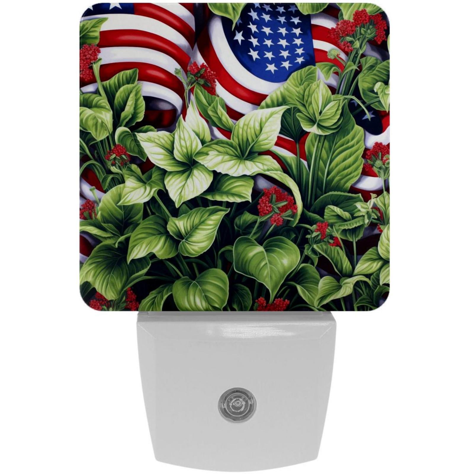 American flag plant LED Square Night Lights - Modern Design, Energy ...