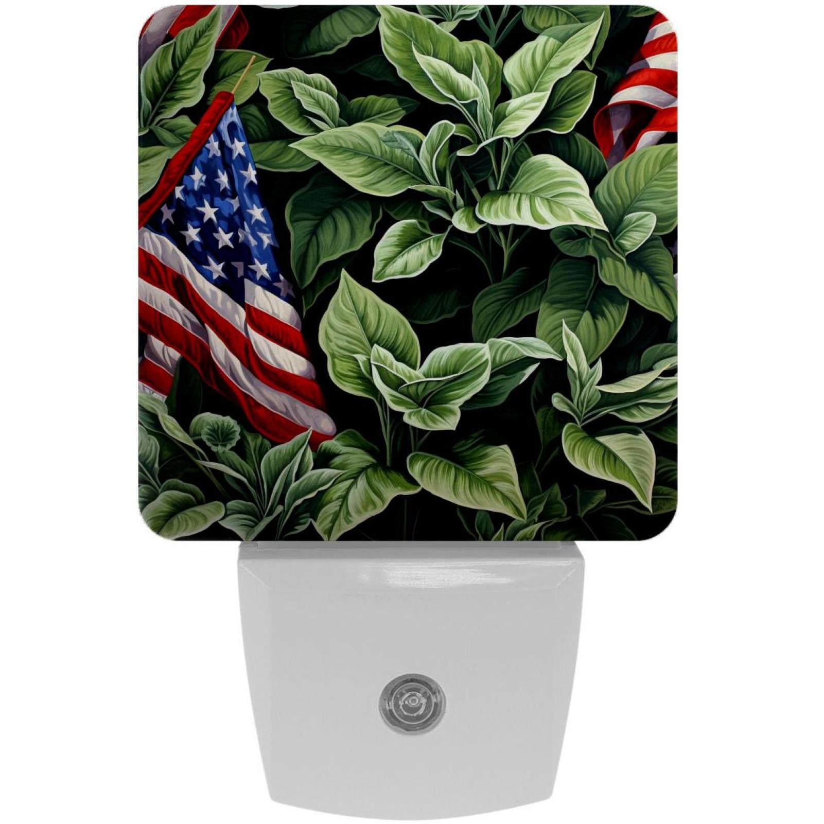 American flag plant LED Square Night Lights - Stylish and Energy ...