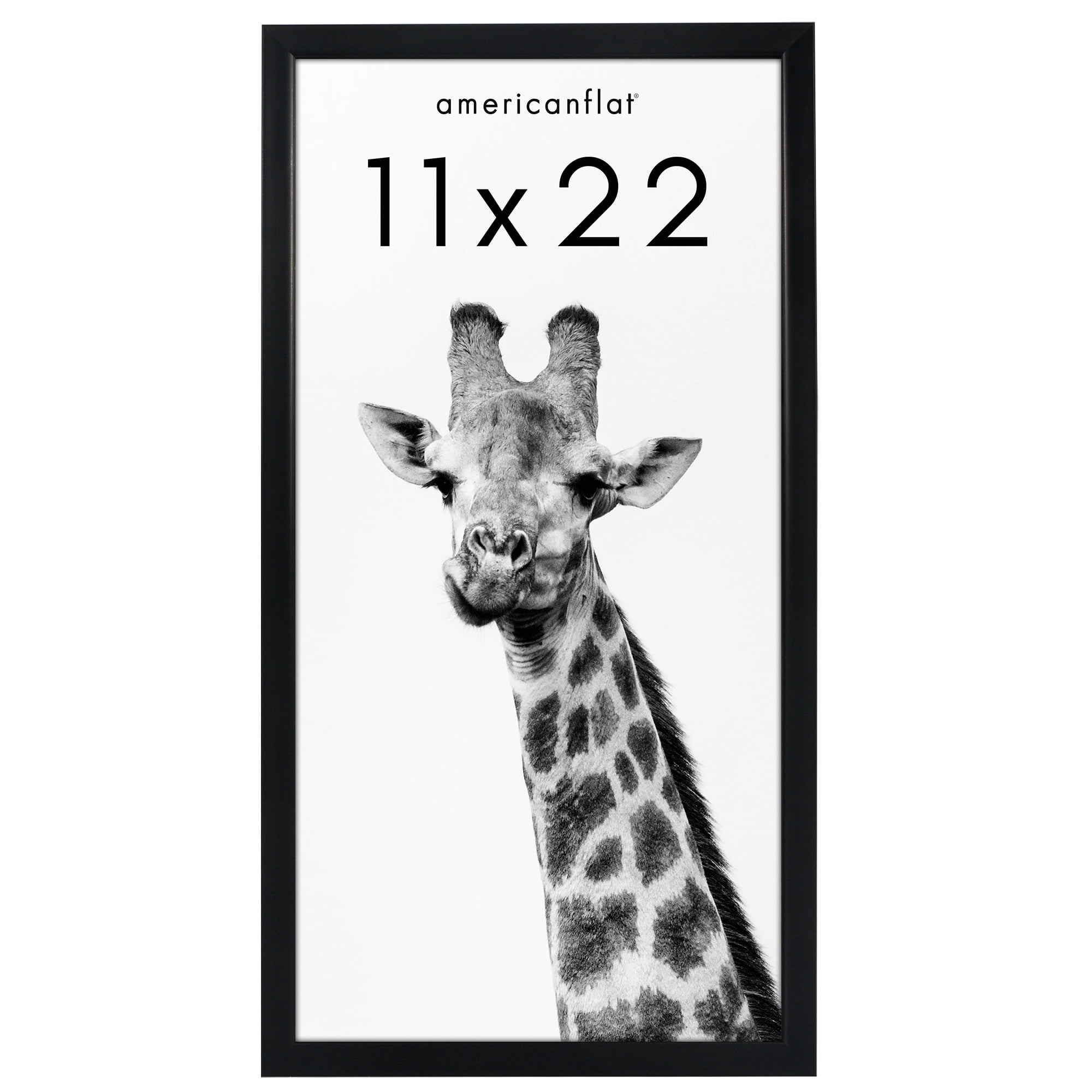 Americanflat 11x22 Picture Frame with Polished Plexiglass Newspaper ...