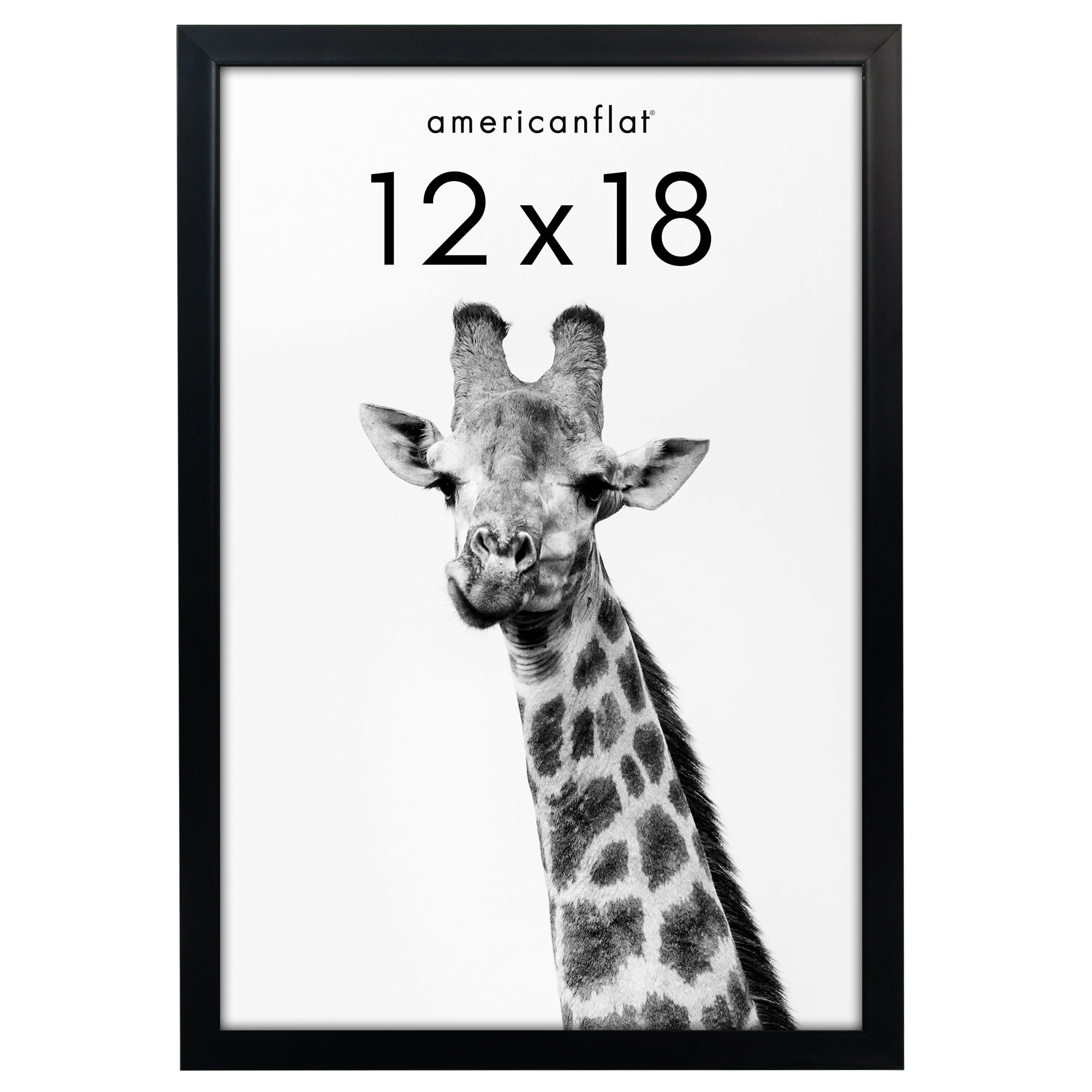 Americanflat 12x18 Poster Frame with Polished Plexiglass Soho ...