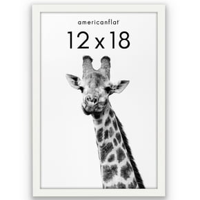 Picture Frames 12 X 18