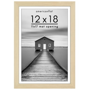 Poster Frames 12 X 18 Picture