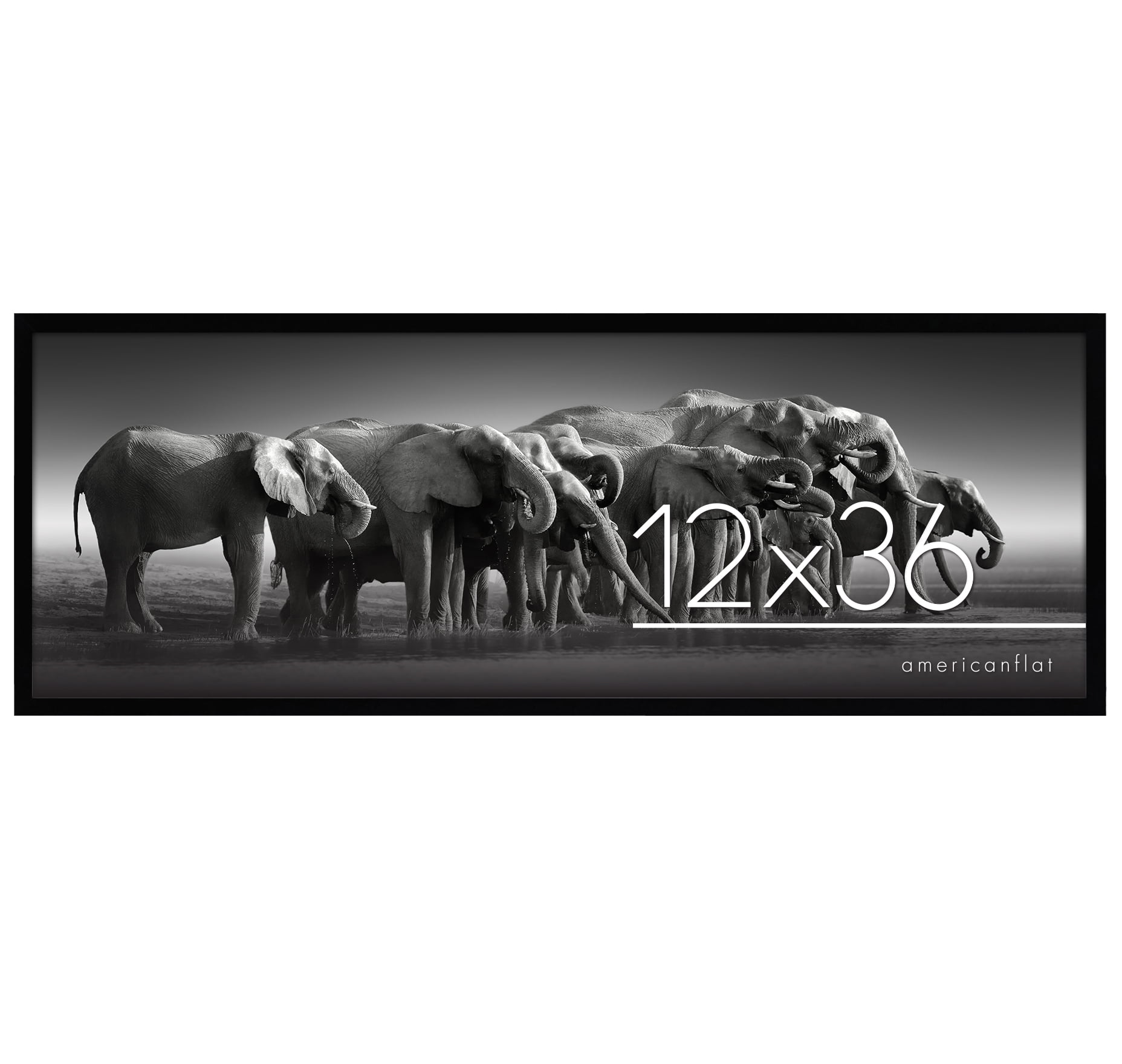 Free Shipping! Americanflat 12x36 Black Picture Frame with Shatter ...