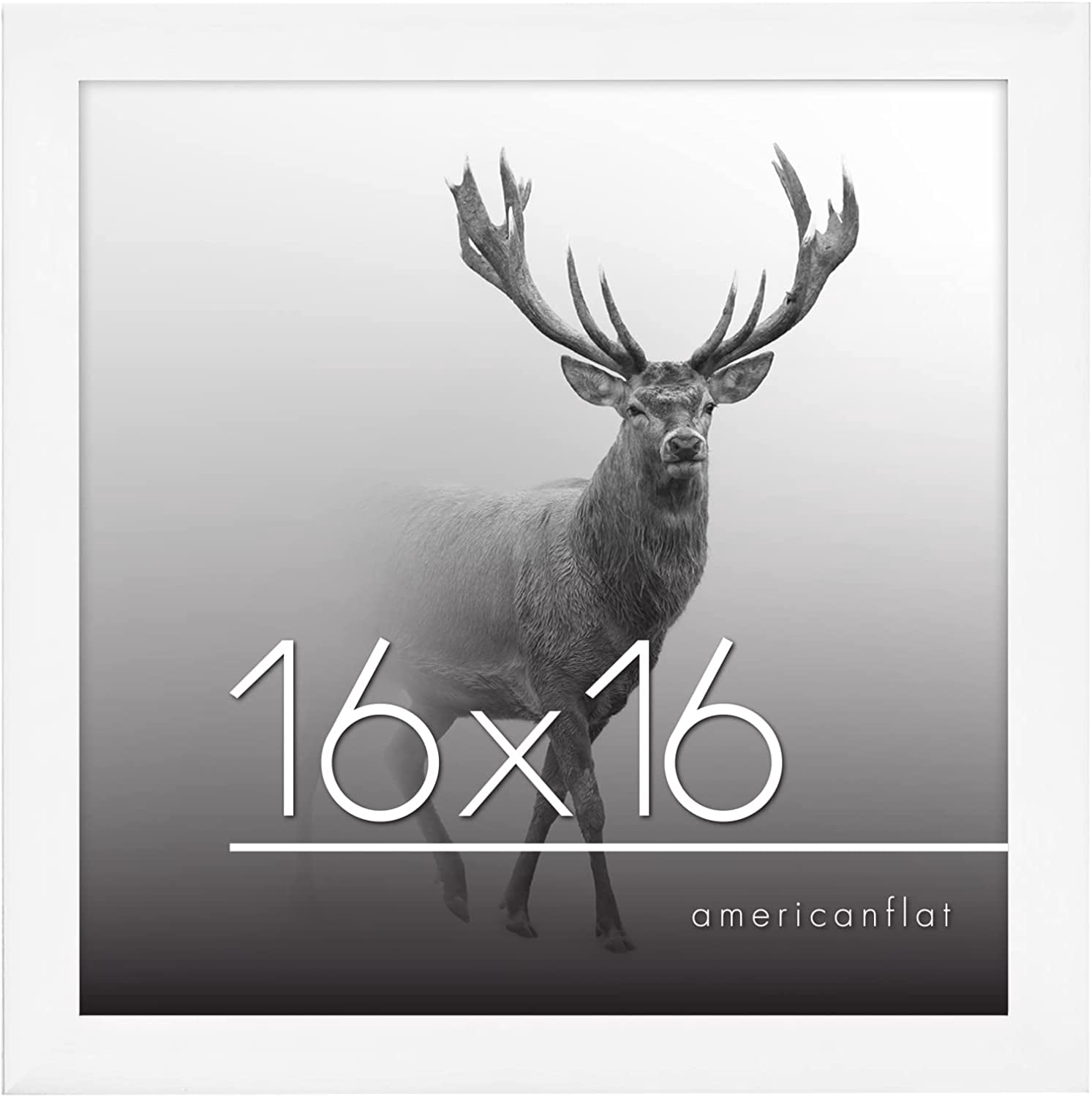 Americanflat 16x16 White Wood Poster Frame with Plexiglass - Walmart.com