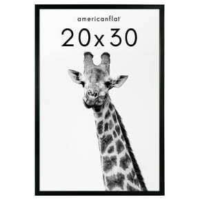 20x30 Poster Frame