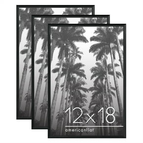 Poster Frames 12 X 18 Picture