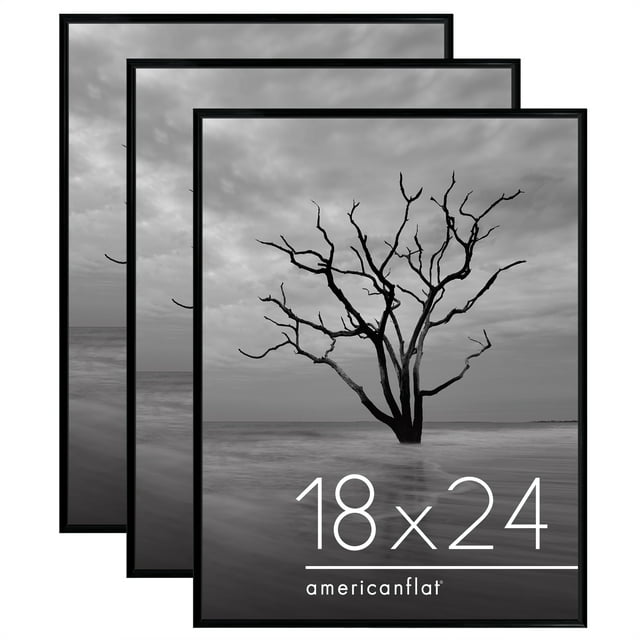 Americanflat 3 Pack Lightweight 18x24 Poster Frames - Black - Walmart.com