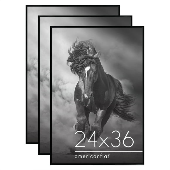 36x24 Poster Frame