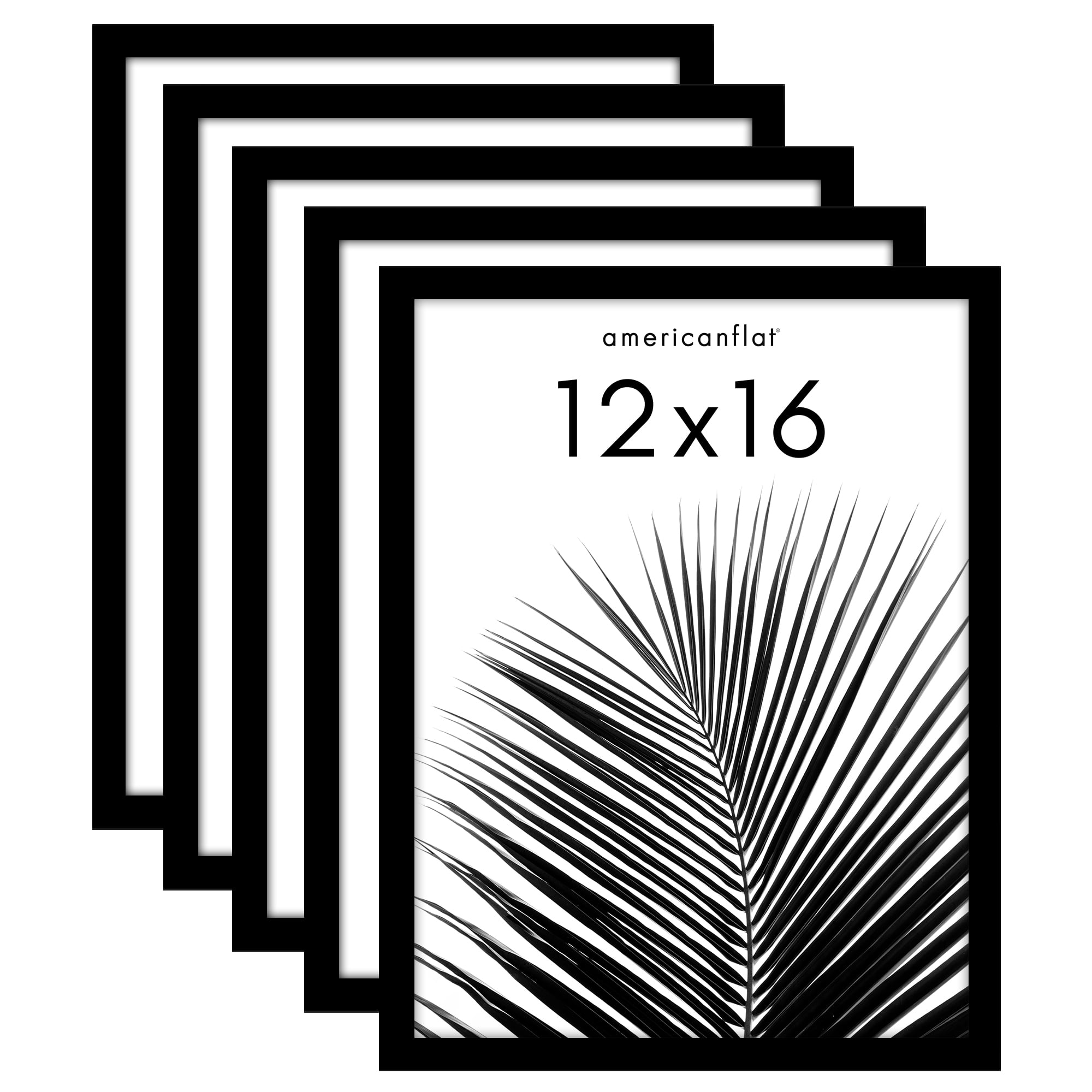 Americanflat 5 Pack of 12" x 16" Frames - Plexiglass Cover - Black ...