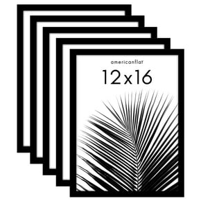 Picture Frames 12 X 16