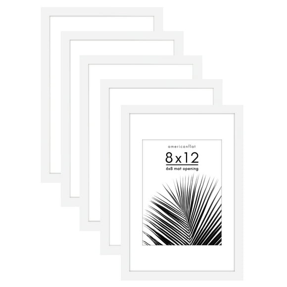 Picture Frames 8 X 12