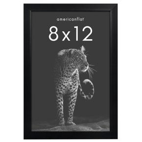 Picture Frames 8 X 12