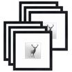 Free Shipping! 7 Pack 12x12 Picture Frames Set without Mat or 8x8 Photo ...