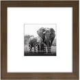 Free Shipping! Americanflat 8x8 Walnut Picture Frame with Shatter ...