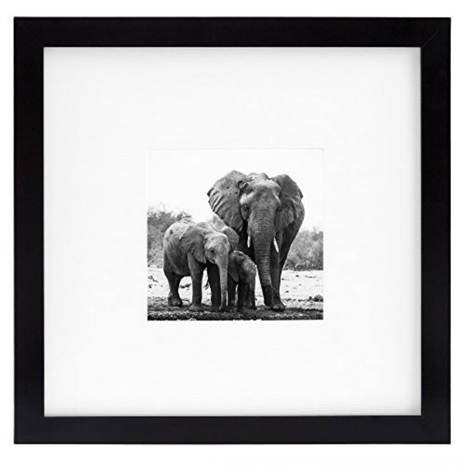 Americanflat 8x8 Picture Frame with Mat For 4x4 MDF Wood and Shatter ...
