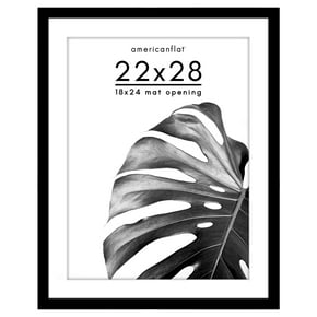22x28 Frame