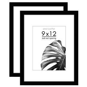 Picture Frames 9 X 12